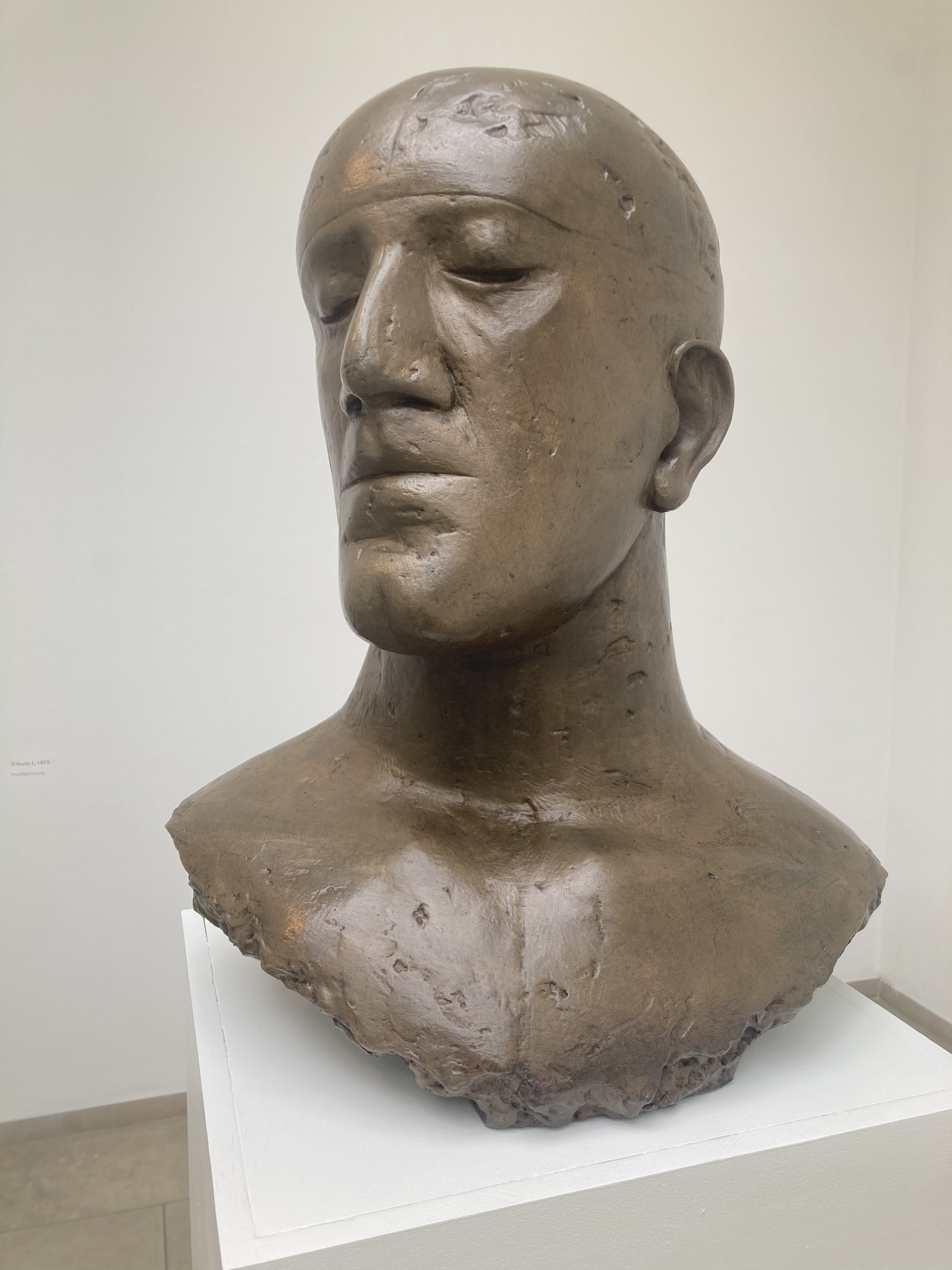 Vom Ton zur Bronze – Köpfe modellieren – Swilly.art